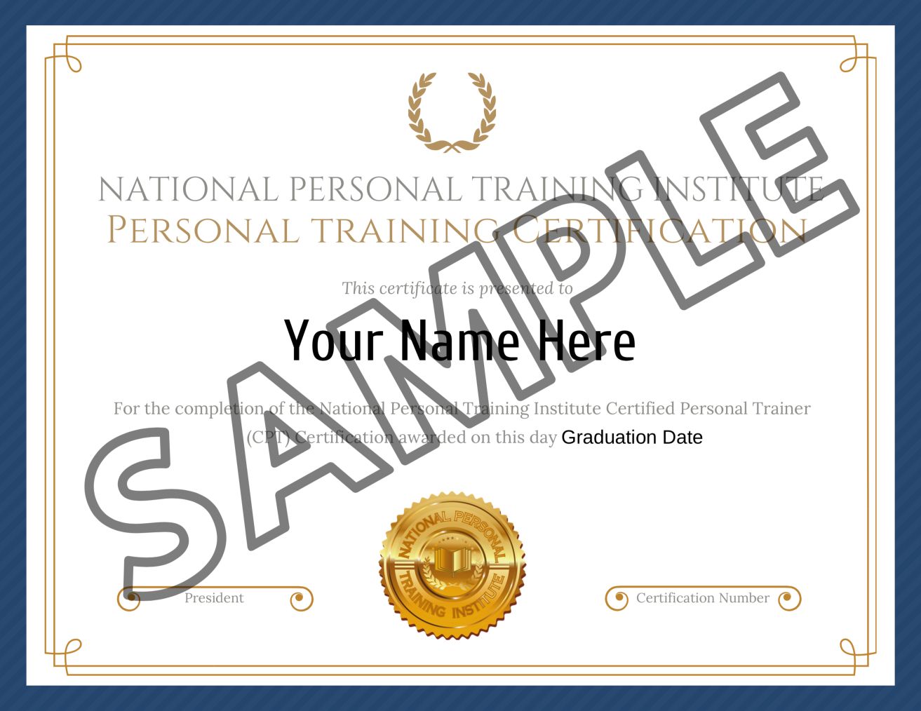 NationalPTI,Fitness Professional,Personal Trainer,Online Personal ...